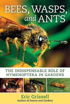 Libro bees, wasps, and ants,the indispensable role of hymenoptera in ...