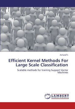 Libro Efficient Kernel Methods For Large Scale Classification: Scalable methods for training ...