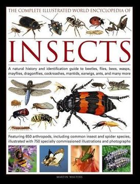 Libro Complete Illustrated World Encyclopedia of Insects: A Natural ...