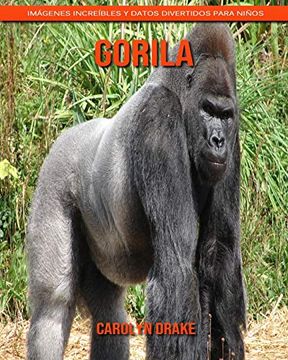 Libro Gorila: Imágenes Increíbles y Datos Divertidos Para Niños De ...