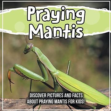 Libro Praying Mantis: Discover Pictures and Facts About Praying Mantis ...