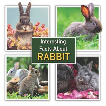 Libro Interesting Facts about Rabbit: Rabbit Educational Wildlife ...