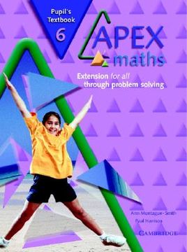 Libro apex maths pupil's textbook 6: extension for all through problem ...