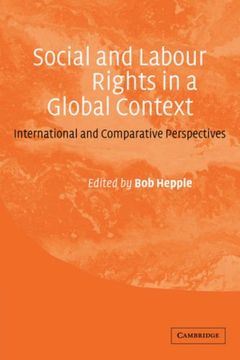 Libro Social Labour Rights Global Context: International and ...