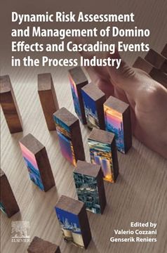 Libro Dynamic Risk Assessment and Management of Domino Effects and ...