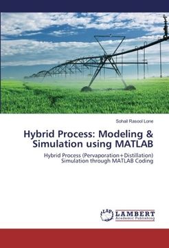 Libro Hybrid Process: Modeling & Simulation using MATLAB: Hybrid ...