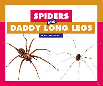 Libro Spiders and Daddy Long Legs (Comparing Animal Differences) De ...