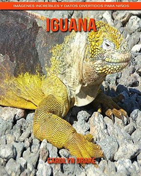 Libro Iguana: Imágenes Increíbles y Datos Divertidos Para Niños De ...
