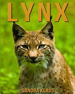 Libro Childrens Book: Amazing Facts & Pictures about Lynx De Sandra ...