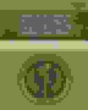 Libro comparing the intellectual profiles of exceptional students using ...