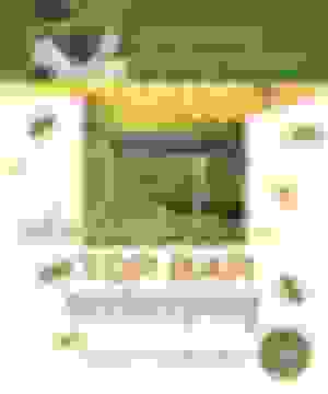 Libro Advanced Top Bar Beekeeping: Next Steps for the Thinking ...