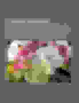 Libro lakota leaders: sitting bull, crazy horse, ex parte crow dog ...