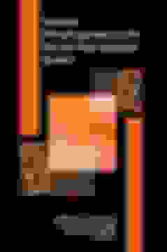 Libro vascular morphogenesis in the female reproductive system ...