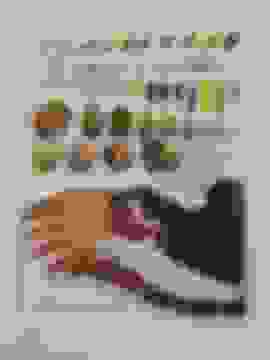 Libro El Pájaro y su Nido. Biblioteca Visual Círculo de Lectores ...