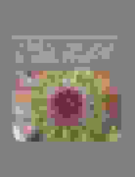 Libro danish scientist introduction: ejnar hertzsprung, s. p. l. s ...