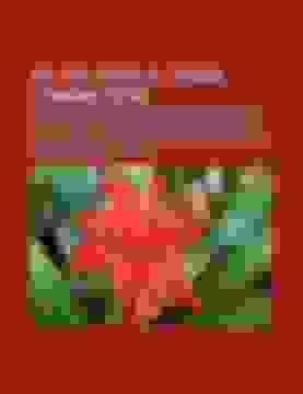 Libro as the world turns characters: luke snyder and noah mayer, jack ...