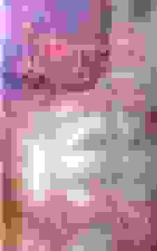 Comprar Literotic - Tail Tales & Tips De LaNina King - Buscalibre