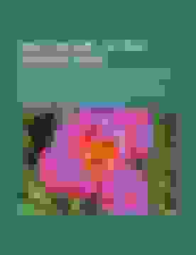 Libro halo nation - elites (characters): 'kasamee, 'ontomee, 'qualomee ...