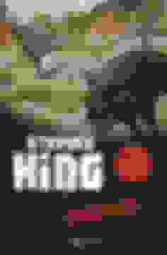 Libro Posesión De Stephen King - Buscalibre