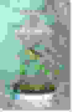 Libro Del otro lado del jardín De Carlos Framb - Buscalibre