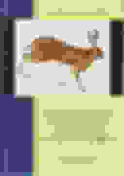 Libro Situación Y Conservación De La Liebre De Piornal Lepus ...