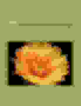 Libro ieee: medalla de honor del ieee, normas ieee, publicaciones de la ...