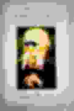 Libro Hacia una teoría general de la urbanización: introducción a la ...