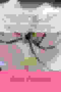 Libro Popular illustrated idioms in English and their Spanish ...