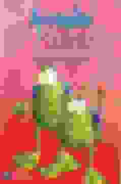 Libro Las dos ranas, Cuento popular, ISBN 9789585436060. Comprar en ...