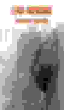 Libro Volverse Palestina De Lina Meruane - Buscalibre