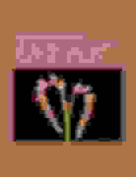 Libro tudor architecture: tudor dynasty, hampton court palace, the ...