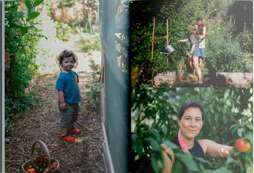 Libro El poder de tu cocina De Wini Walbaum - Buscalibre Argentina