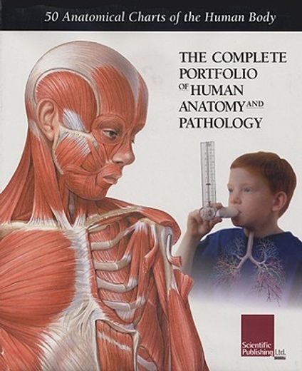 Comprar the complete portfolio of human anatomy and pathology,collection of 50 anatomical charts ...